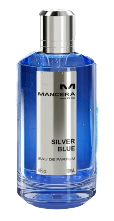 MSJ::SILVER BLUE