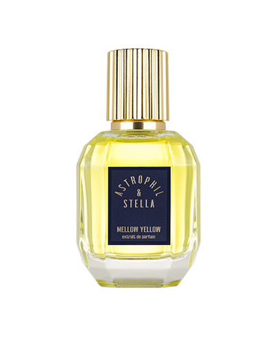 MSJ::MELLOW YELLOW